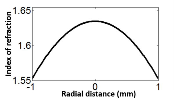 Grin Lens Information Ucla Miniscope